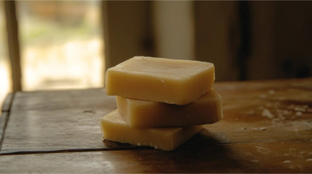 Wagyu Beef Tallow: Benefits, Uses & Quality Guide – Sky and Sol